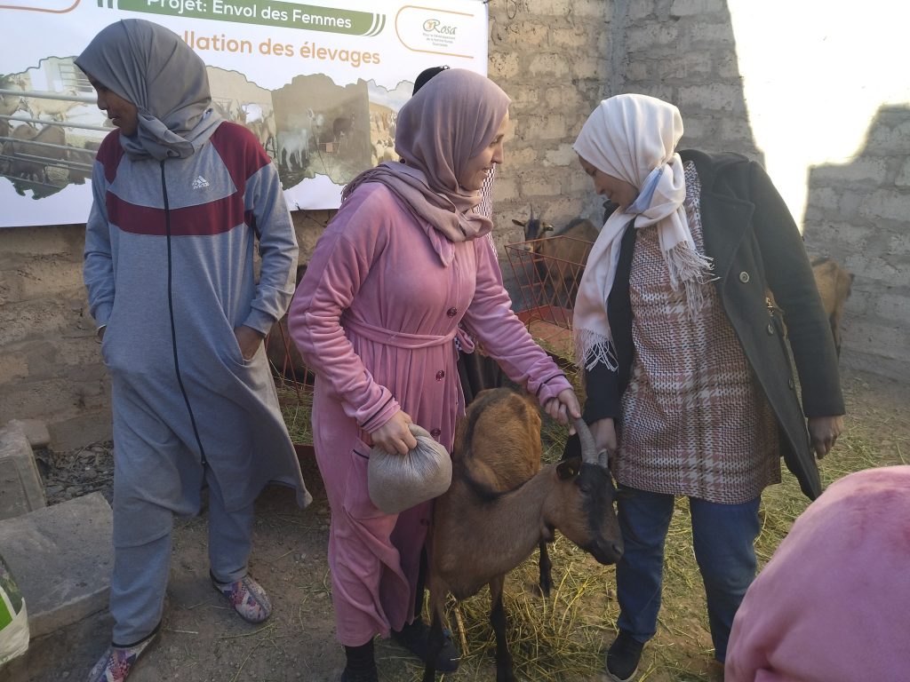 Renforcer l’autonomie des femmes rurales au Maroc par la formation à l ...
