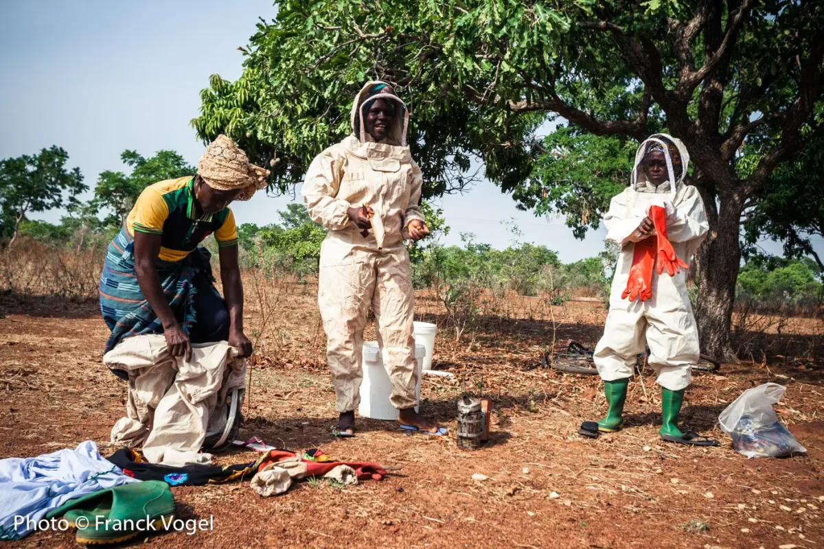 Developing beekeeping to strengthen women’s economic autonomy in ...